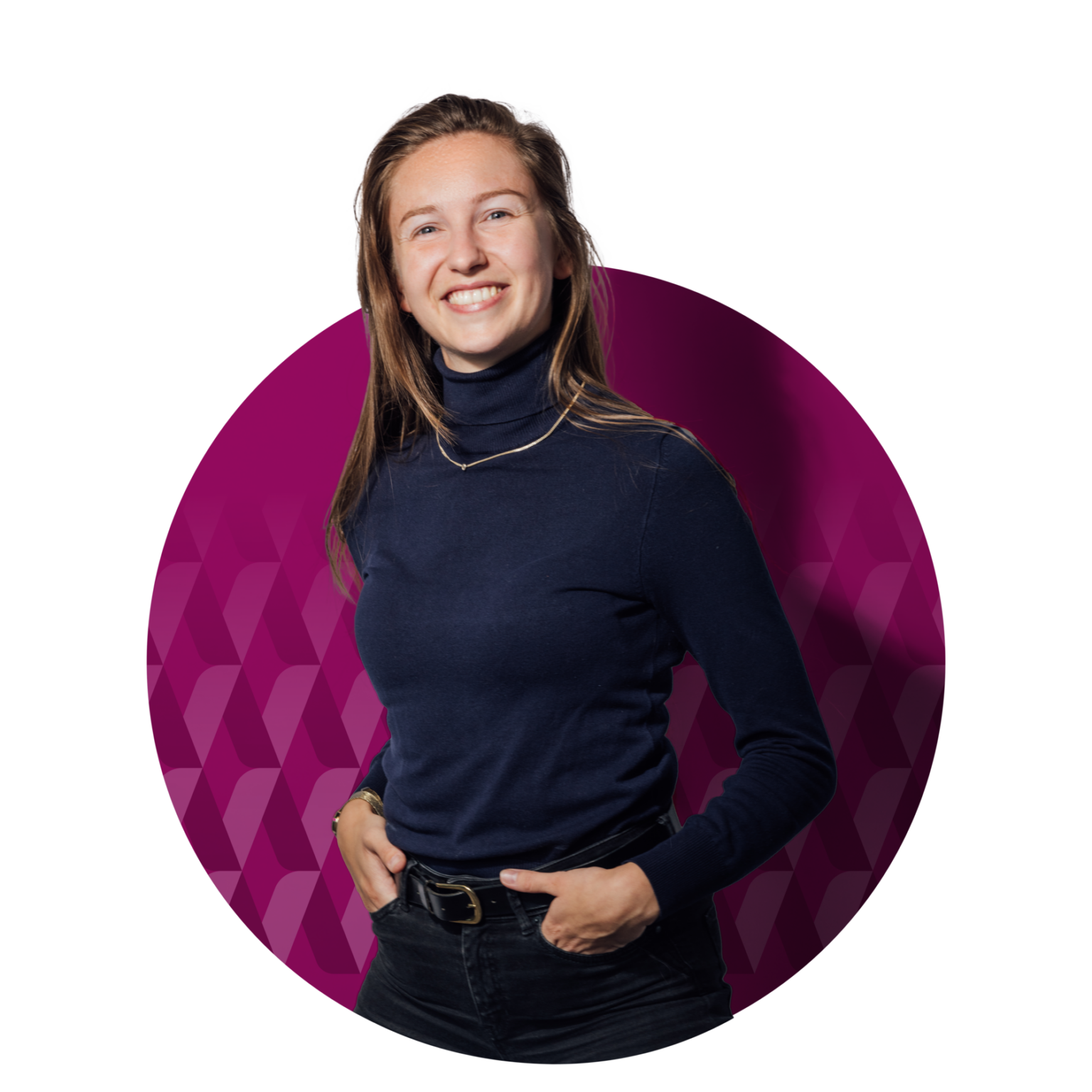 Software functies - Whitevision